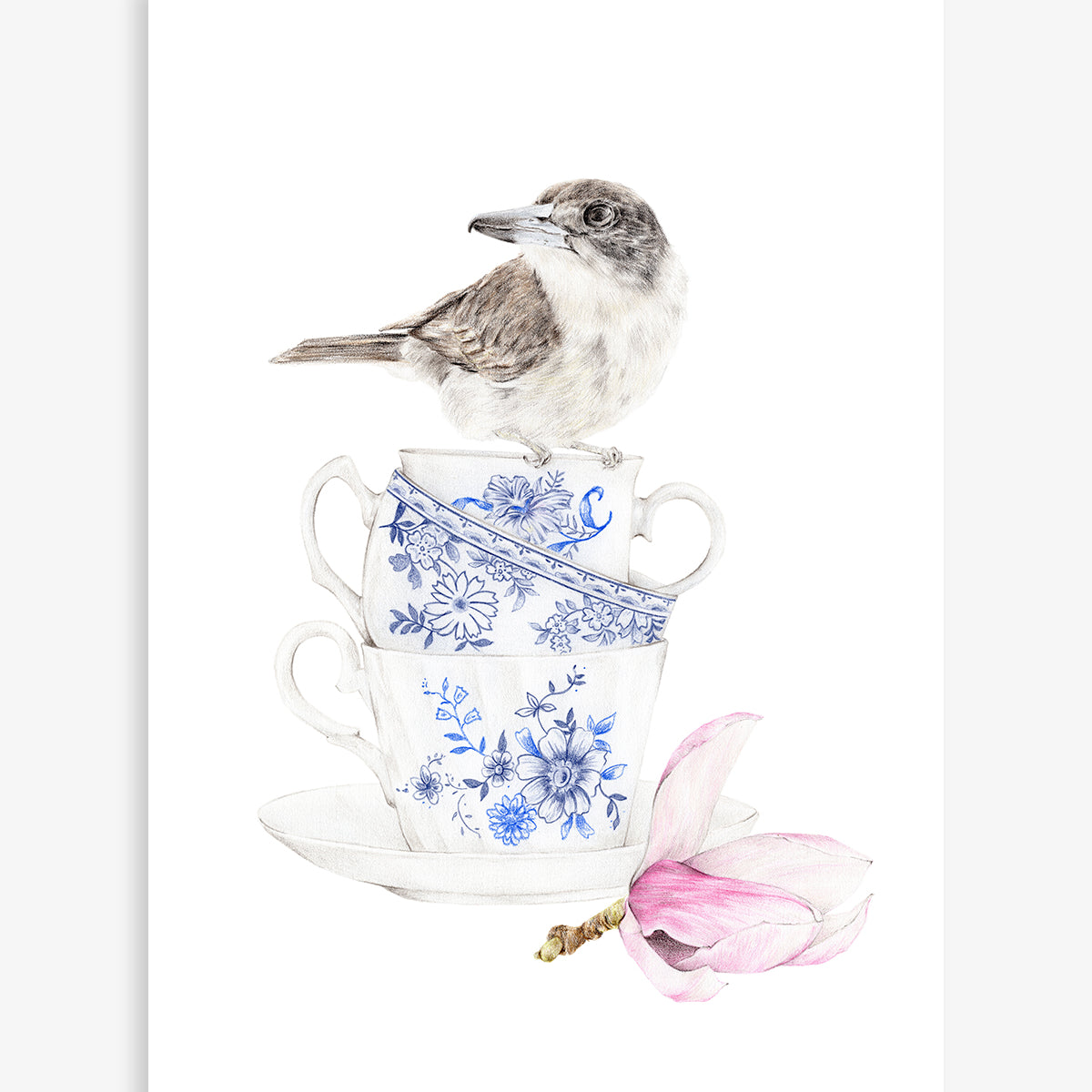 Afternoon Tea with Butchie | Butcherbird Art – Carmen Hui Art