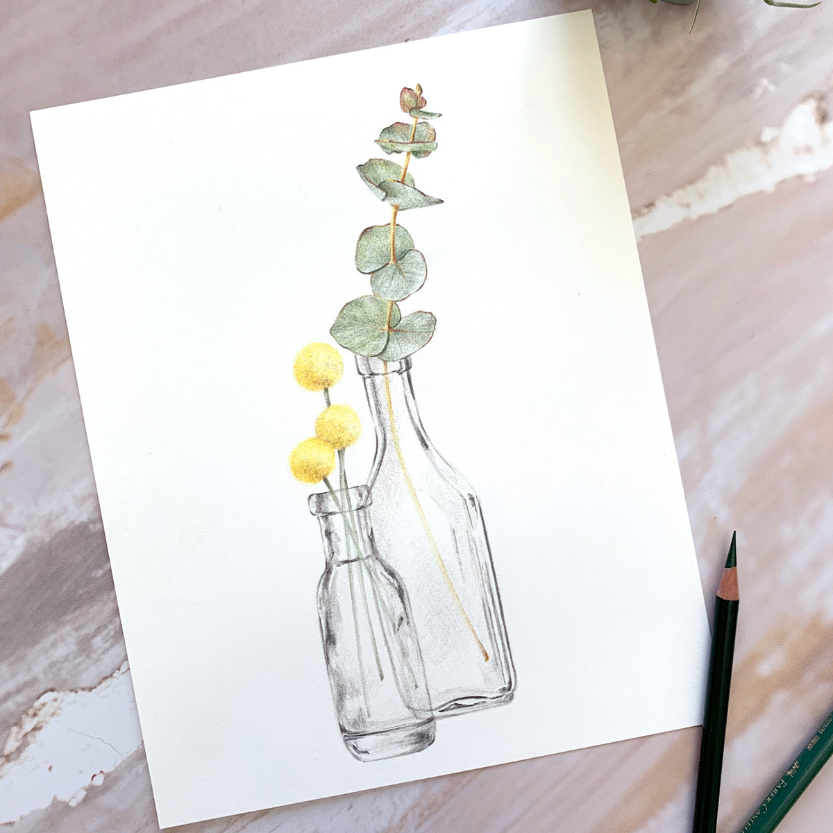 Billy | Botanical Pencil Drawing – Carmen Hui Art